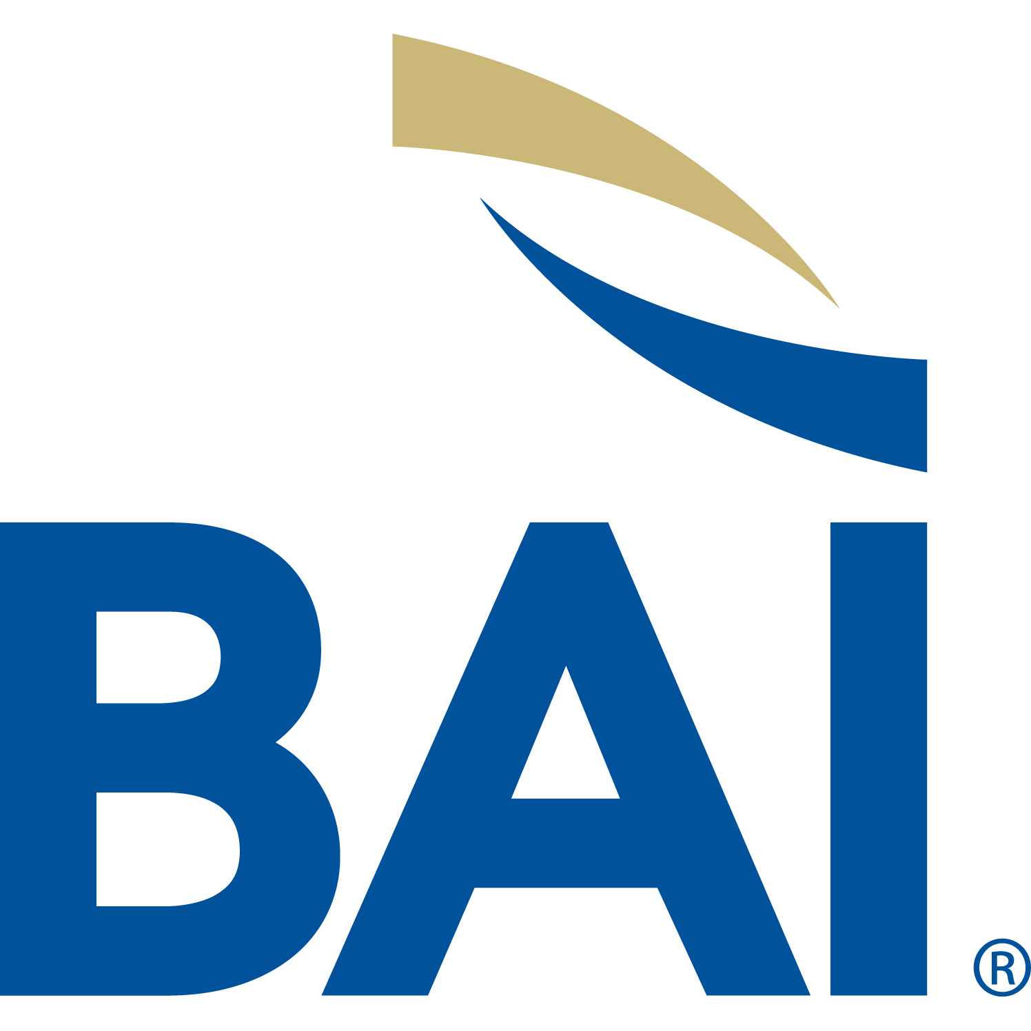 BAI_logo_287-4515 - Chris Skinner